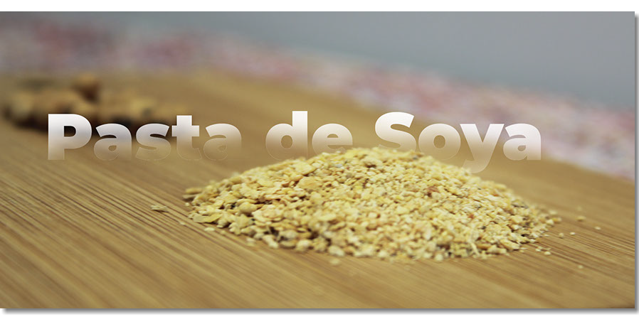 PASTA DE SOYA